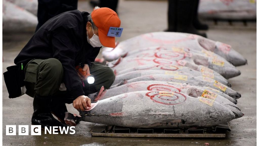 Japan tuna nets a high bid at new year Tokyo auction - BBC News