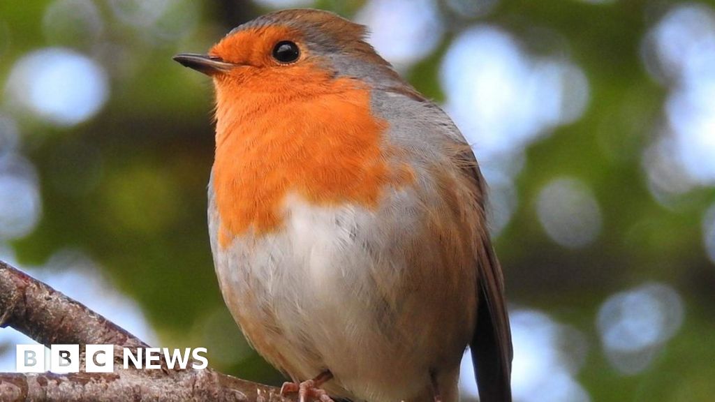 Your Pictures: 25 October - 31 October 2017