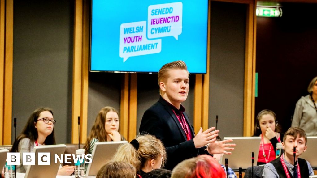 Welsh Youth Parliament election candidates bid for votes - BBC News