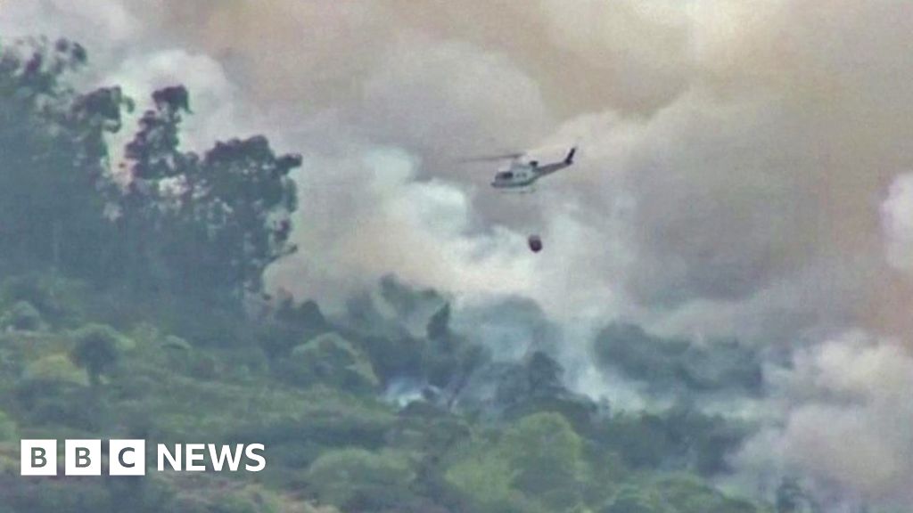Tenerife: Evacuations as fire flares up again in high temperatures