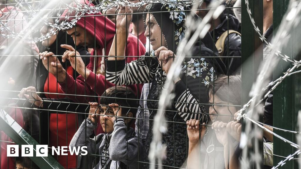 Five new reflections on Europe's migrant crisis - BBC News