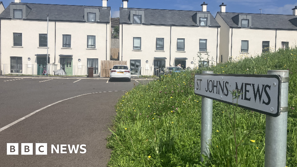 Downpatrick: Attacker stabs man and tries to set him on fire - BBC News
