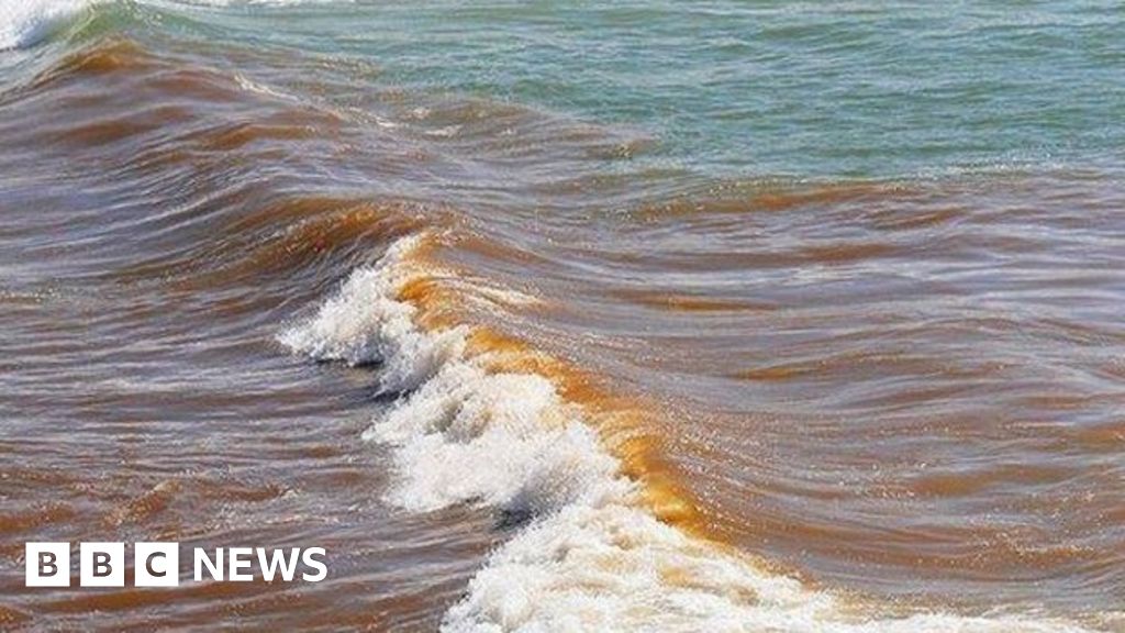 Raw sewage 'discharged at Cornwall and Devon beaches' - BBC News