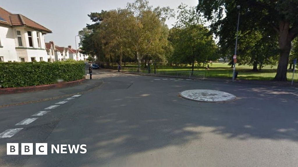Cardiff: Woman dies after being hit by pick-up truck - BBC News