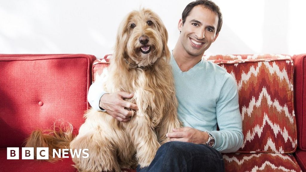 How a traumatised dog inspired a sharing economy business - BBC News