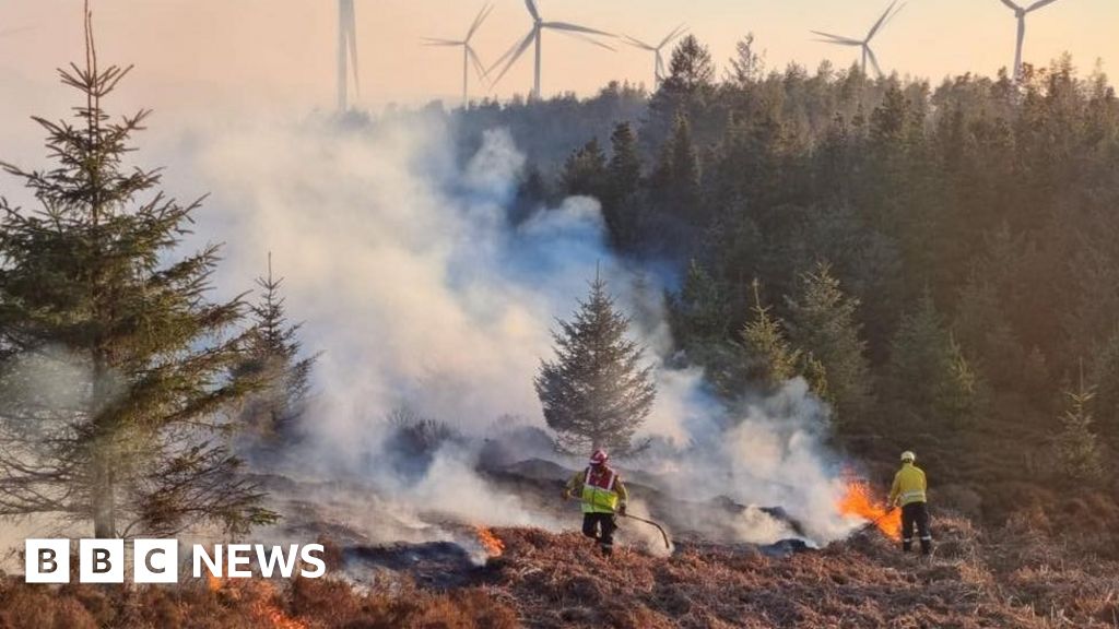 Northumberland forest wildfires prompt barbecue plea - BBC News