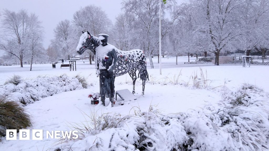 West Midlands photographers capture snow scenes - BBC News