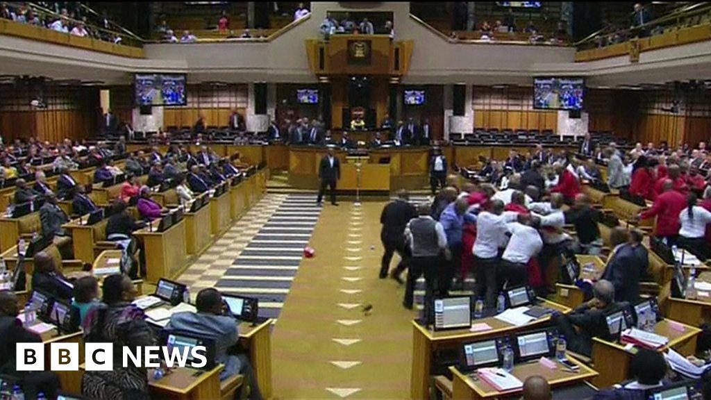 Second brawl in under a month in South Africa's parliament - BBC News