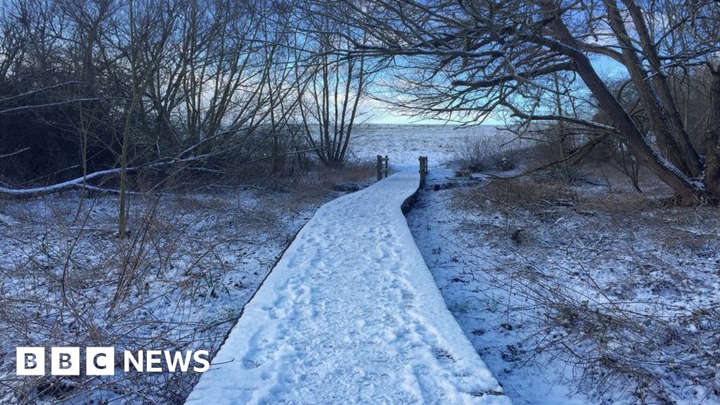 Snow scenes: Wintry photographs from across England - BBC News