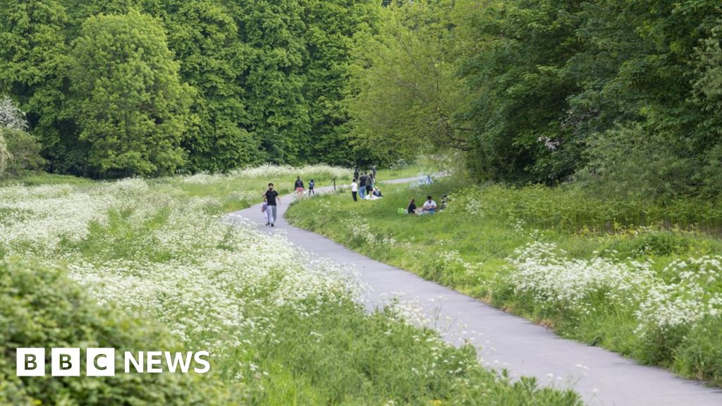Colwick Country Park's footpath widening project completed - BBC News