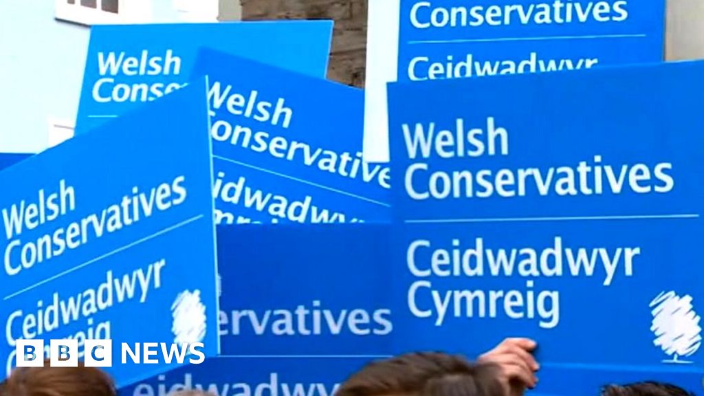 Welsh Election 2016: Focus on EU, not leader, Tory says - BBC News