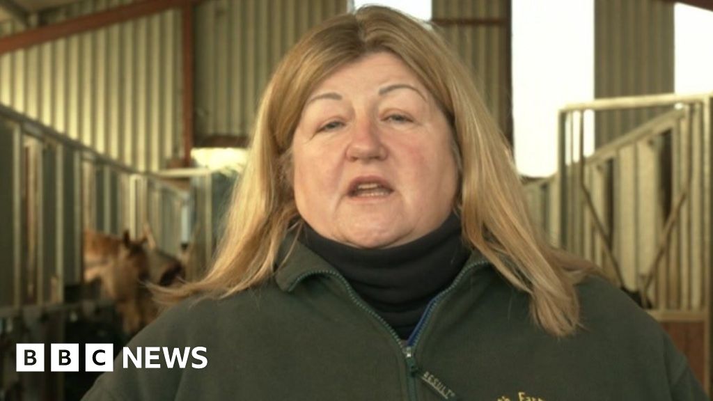Wantage stud farm owner refusing to pay £16k bill to Castle Water