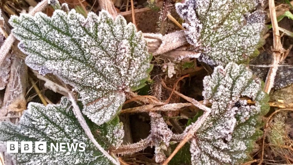 Frosty start: Cold snap across the UK