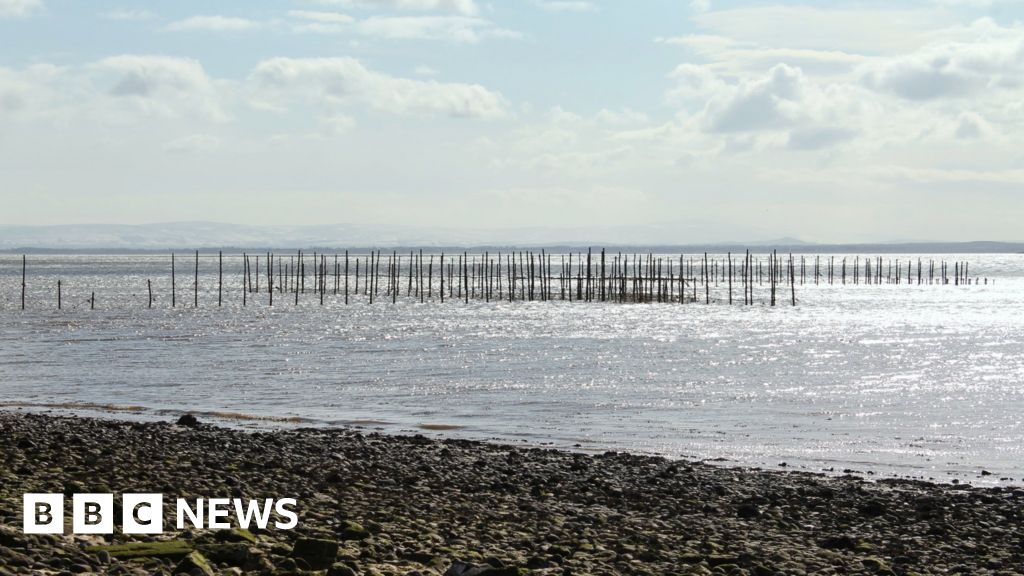 Traditional Solway fishing fears aired - BBC News