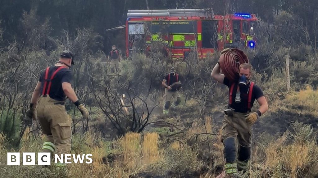 Chobham Common wildfire: Homes evacuated as blaze continues - BBC News