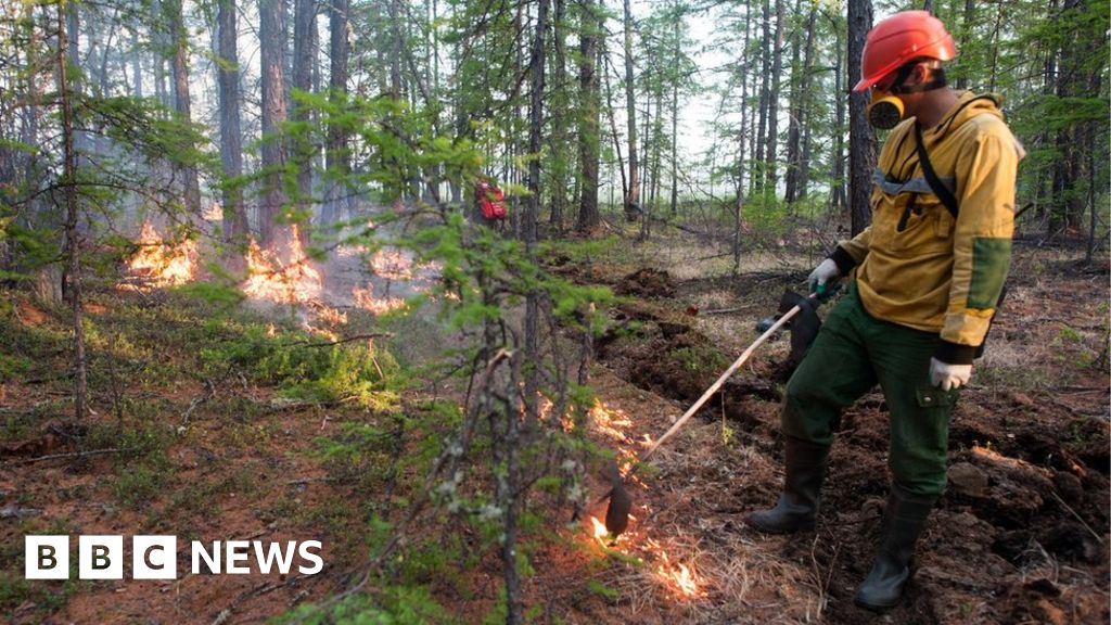 Climate change: Siberian heatwave 'clear evidence' of warming - BBC News