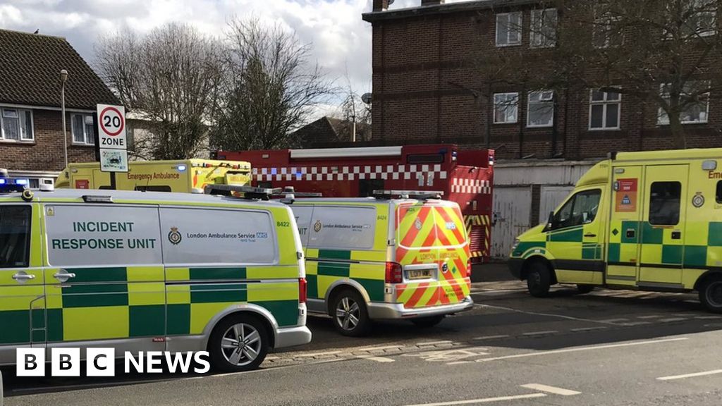 Chingford fire death: Woman held on suspicion of murder - BBC News