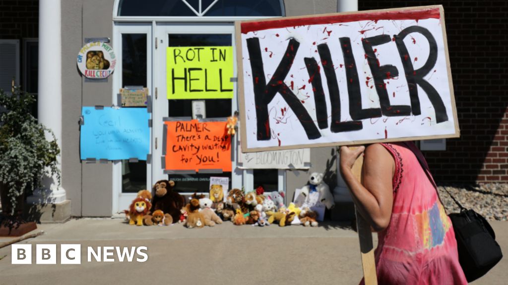 Cecil the lion death: US investigates Walter Palmer hunt - BBC News