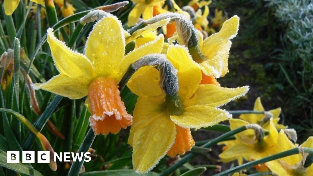 Northern Ireland March weather has made for month of contrasts - BBC News