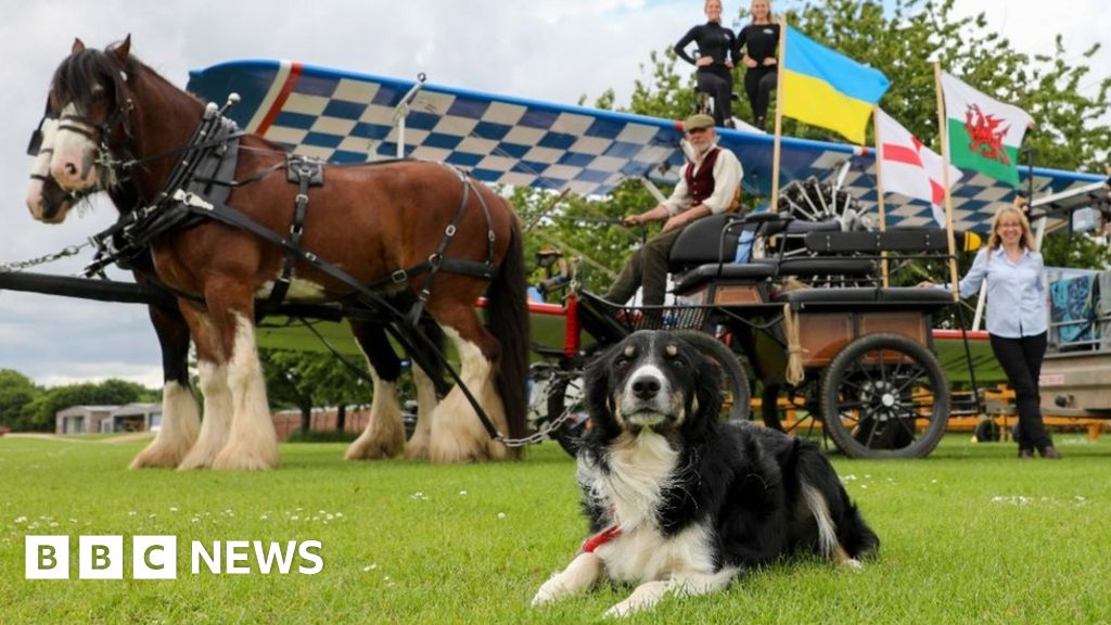 Shire horse hits car during Gloucestershire charity challenge - BBC News