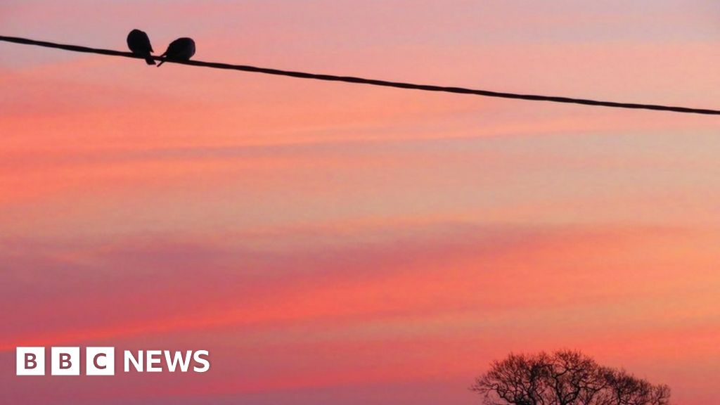 Coronavirus: People share the views from their windows