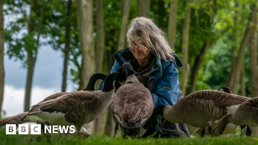 Birdman Nick: Thousands raised after bird lover attacked in park - BBC News