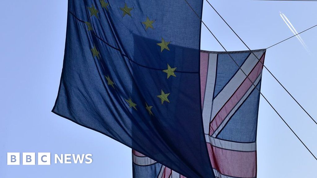'Economists for Brexit' back Leave campaign - BBC News