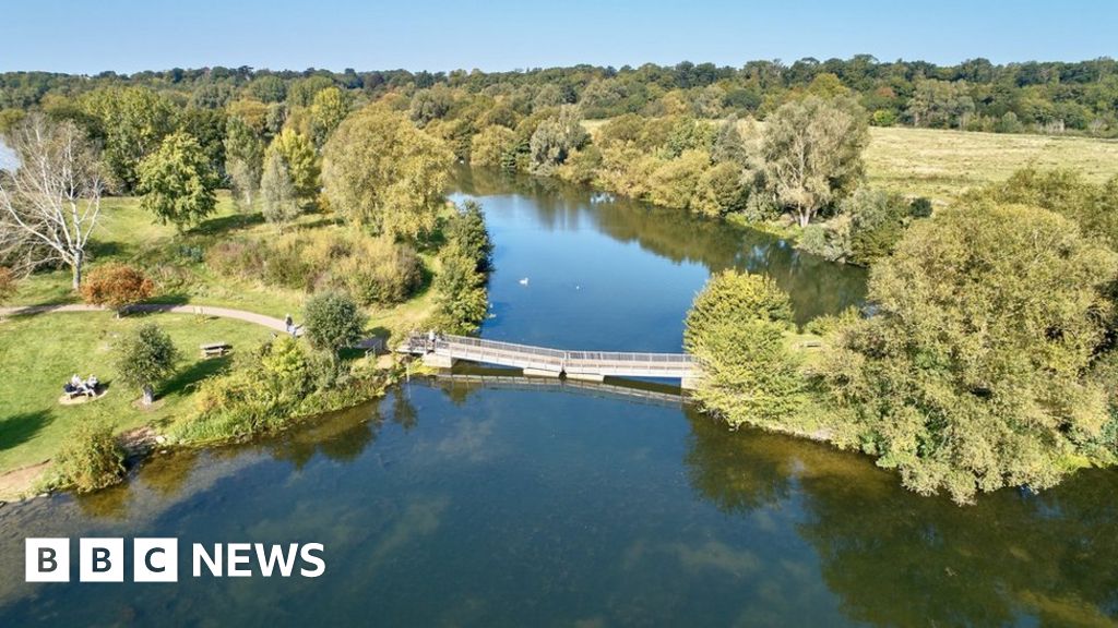 Peterborough's Ferry Meadows begins 'dogs on leads' trial - BBC News