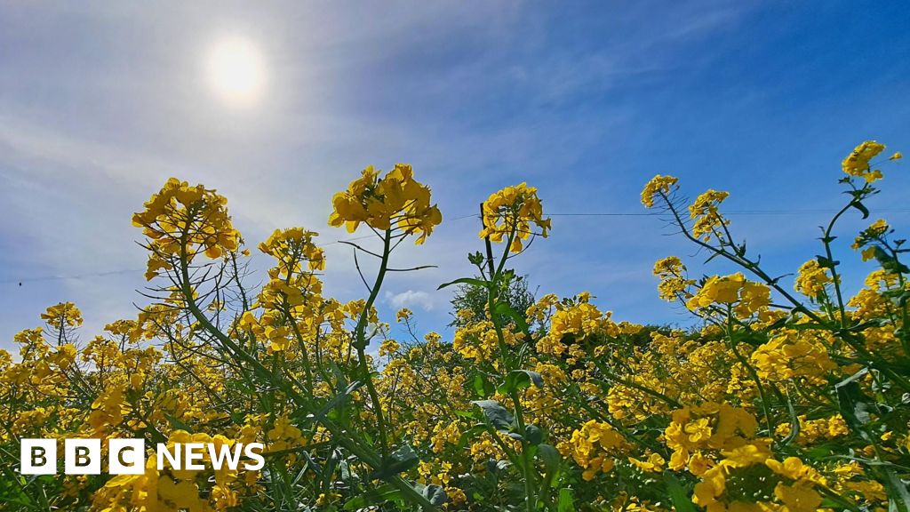 Your pictures across the West Midlands - BBC News