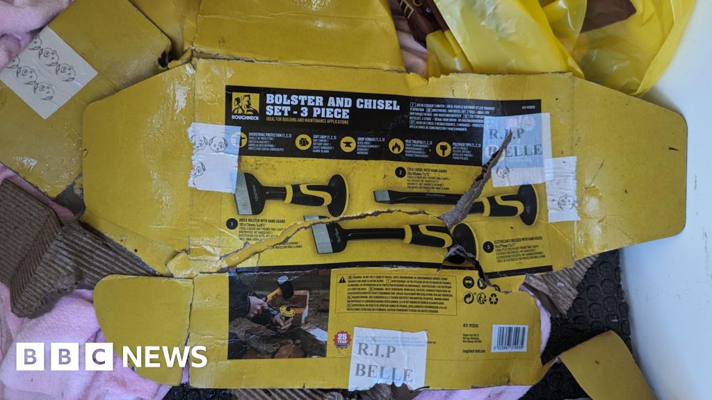Bully-type dog found dead wrapped in Peaky Blinders boxer shorts - BBC News