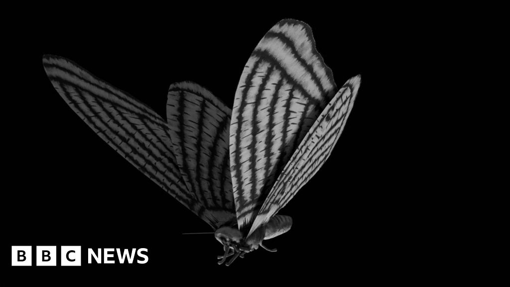 Nature reserve’s moths help composer make new music