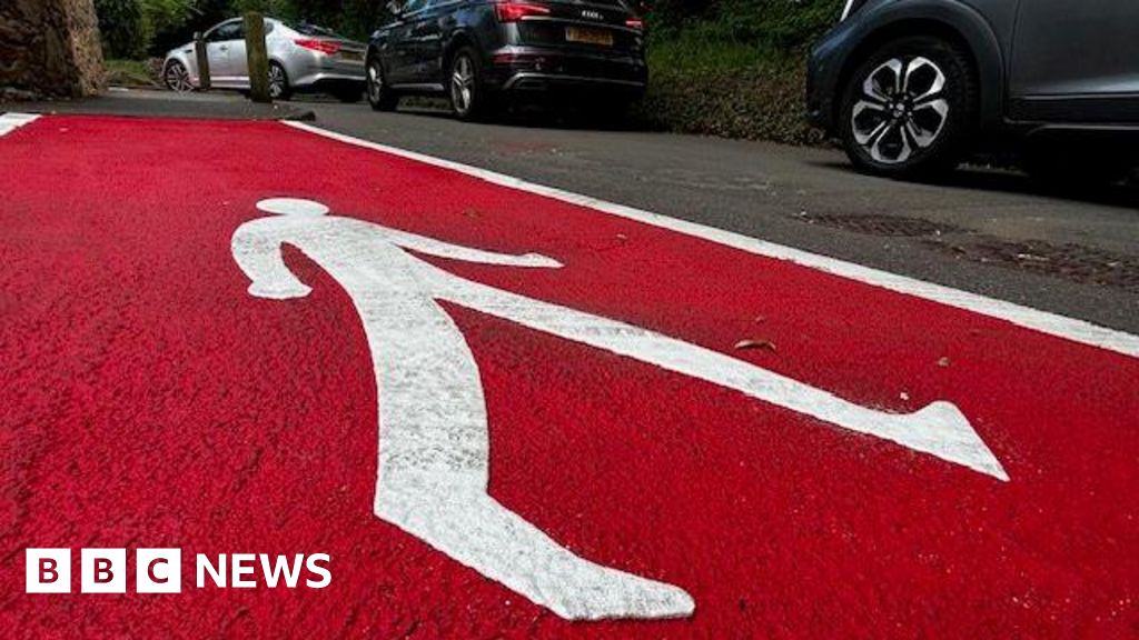 Red stripe on rural lane sparks social media storm