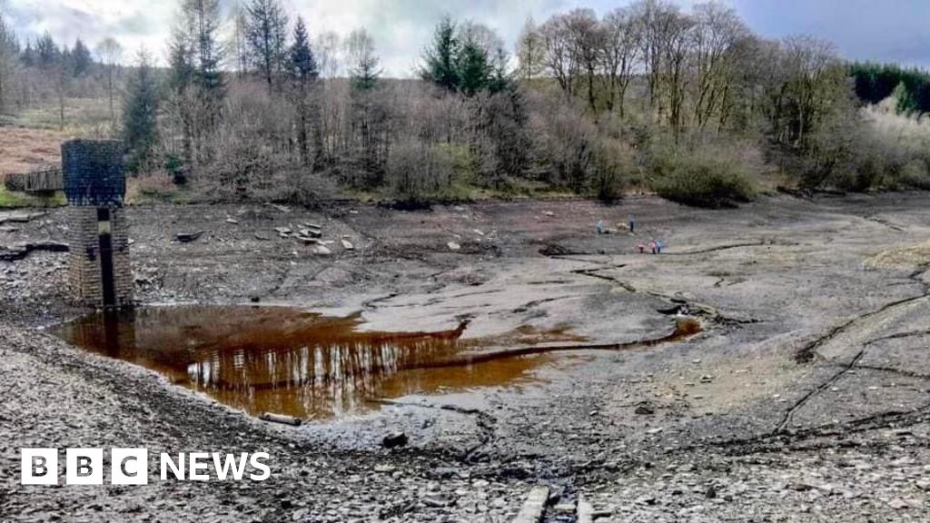 Llanwonno forest reservoir: Anger as beauty spot water drained - BBC News