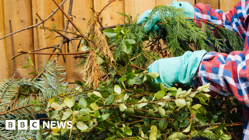 Garden And Bulky Waste Charges Increase For Mid Devon District Council garden-and-bulky-waste-charges-increase-for-mid-devon-district-council