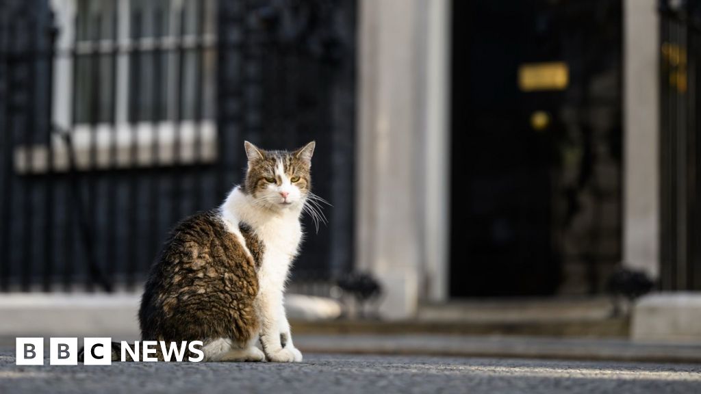 Macron jokes about Larry the cat with Starmer and Reeves - BBC News