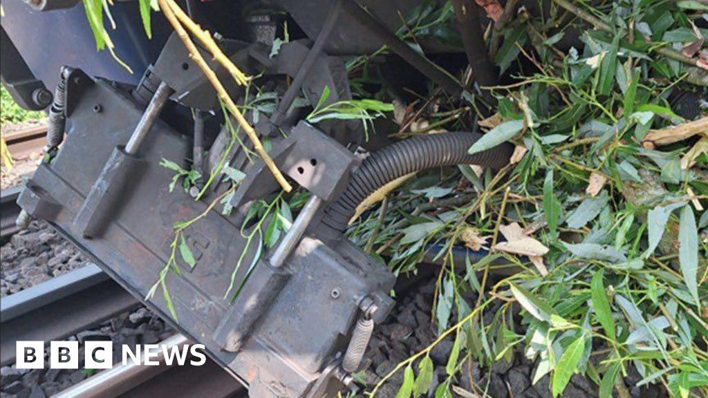 Damaged Southeastern train moved after hitting tree near Ashford
