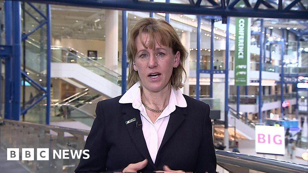 Minette Batters: UK must not 'open flood gates' to cheap food - BBC News