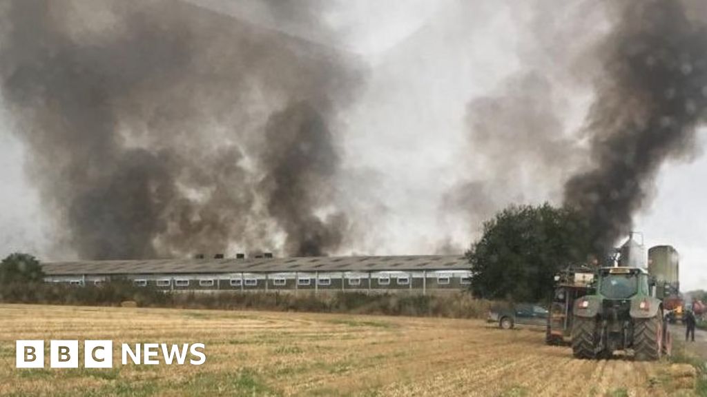 Pigs perish in Wallingford agricultural unit fire - BBC News