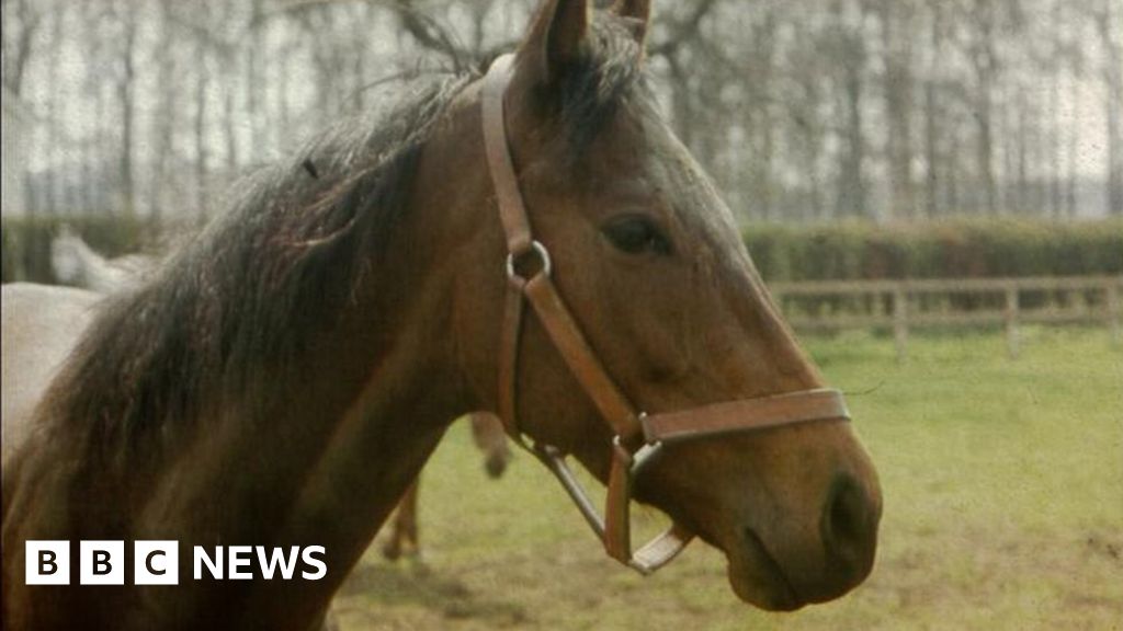 Manx horse owners warned after outbreak of strangles