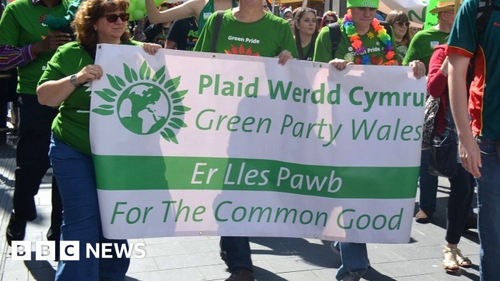 Three in the race to be new Wales Green Party leader - BBC News