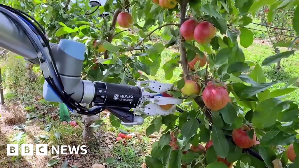 Robotic arm harvests apples and other technology news - BBC News