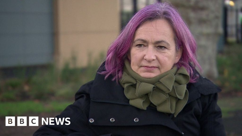 Brexit: Country 'still divided', says Plaid MP Liz Saville Roberts ...