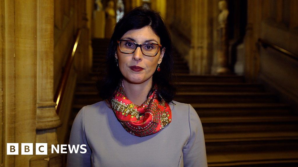 'Brexit is a complete cluster shambles' - Layla Moran - BBC News