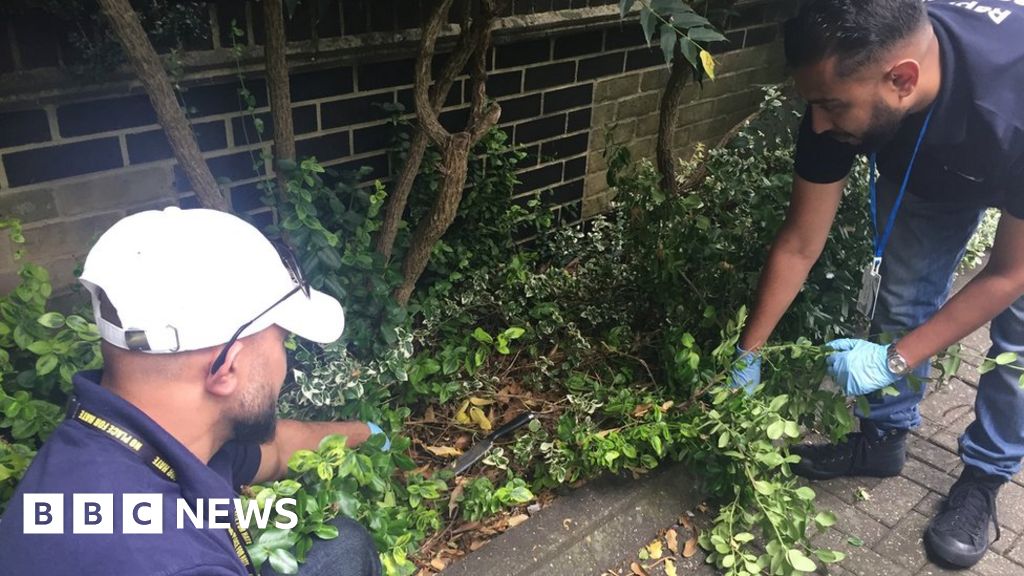 Tower Hamlets residents join police for knife searches - BBC News