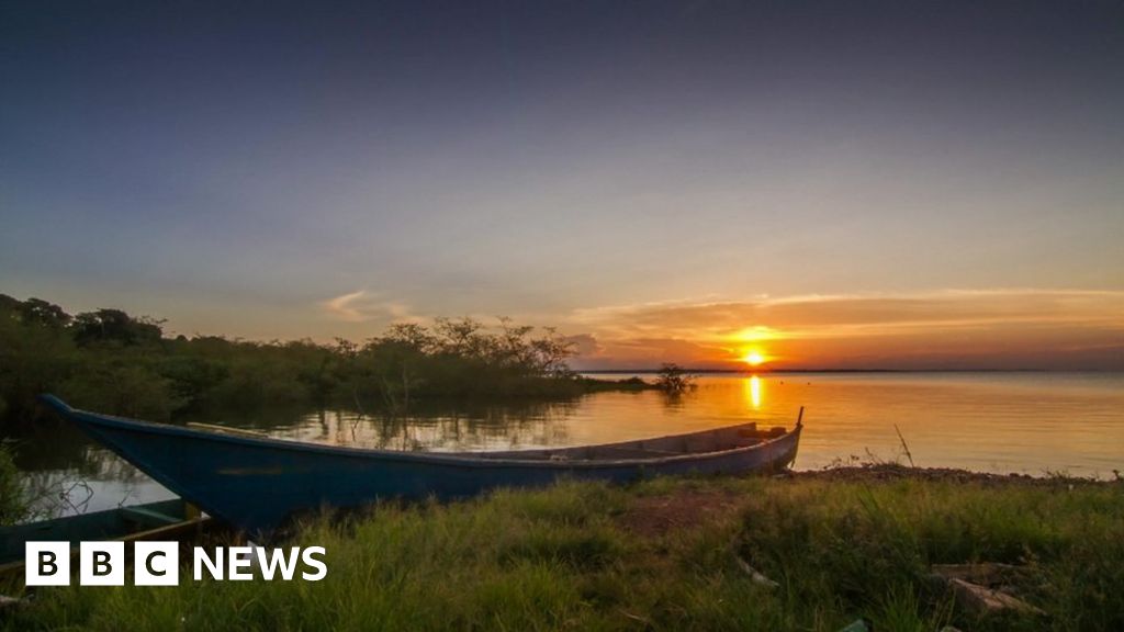 The lure of Bugala - BBC News