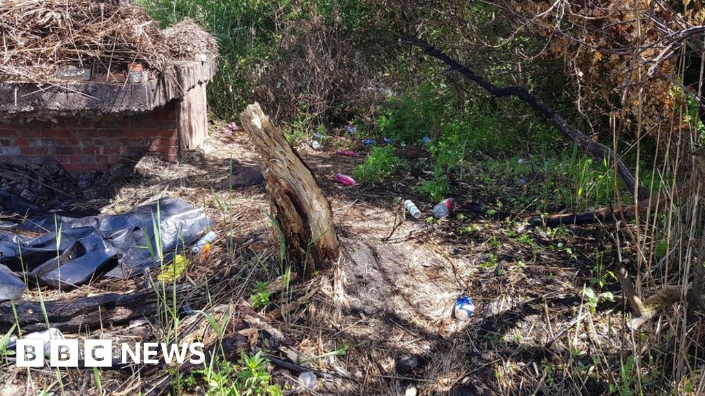 Nature reserves 'trashed' after lockdown easing - BBC News