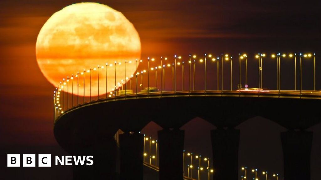 Week in pictures: 10-16 December 2016 - BBC News