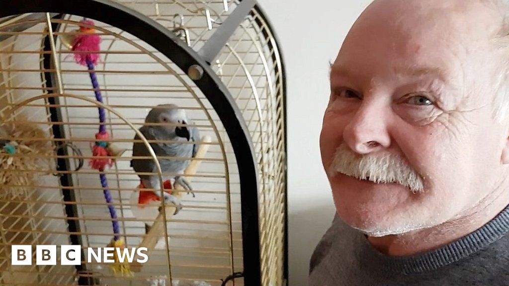 'Bleeping' parrot sparks Daventry emergency call-out