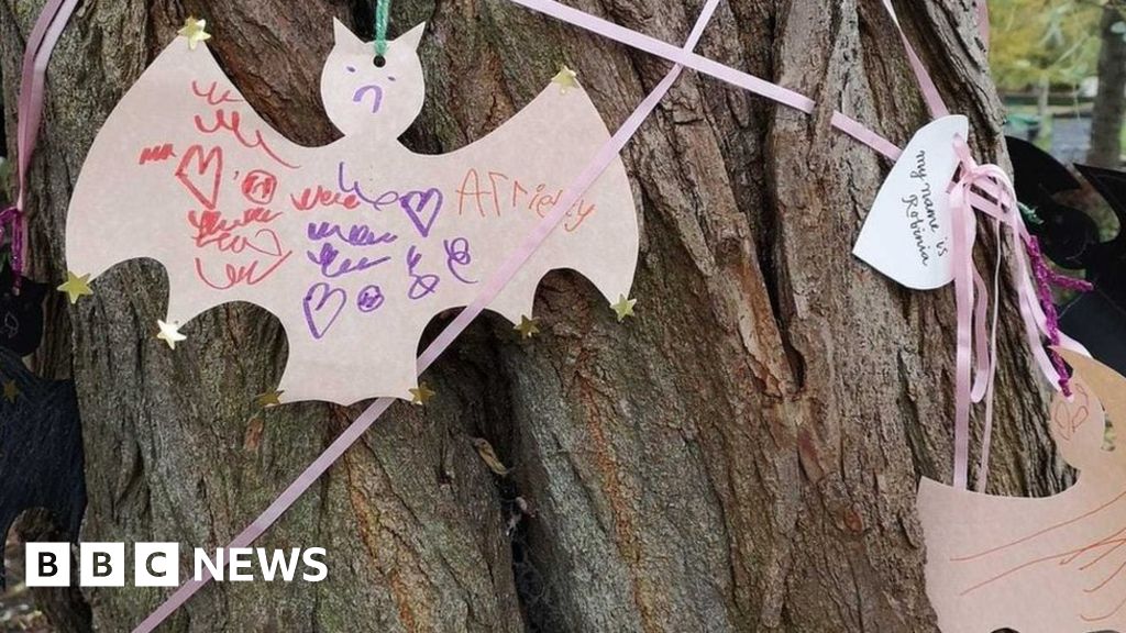 Campaigners 'devastated' as diseased Newark tree felled - BBC News