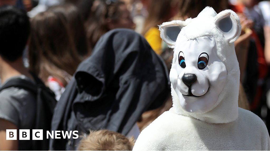 School strike for climate: Mass student walk out in Belgium